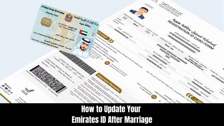 UAE Family Book - How to Apply For Family Book in UAE?